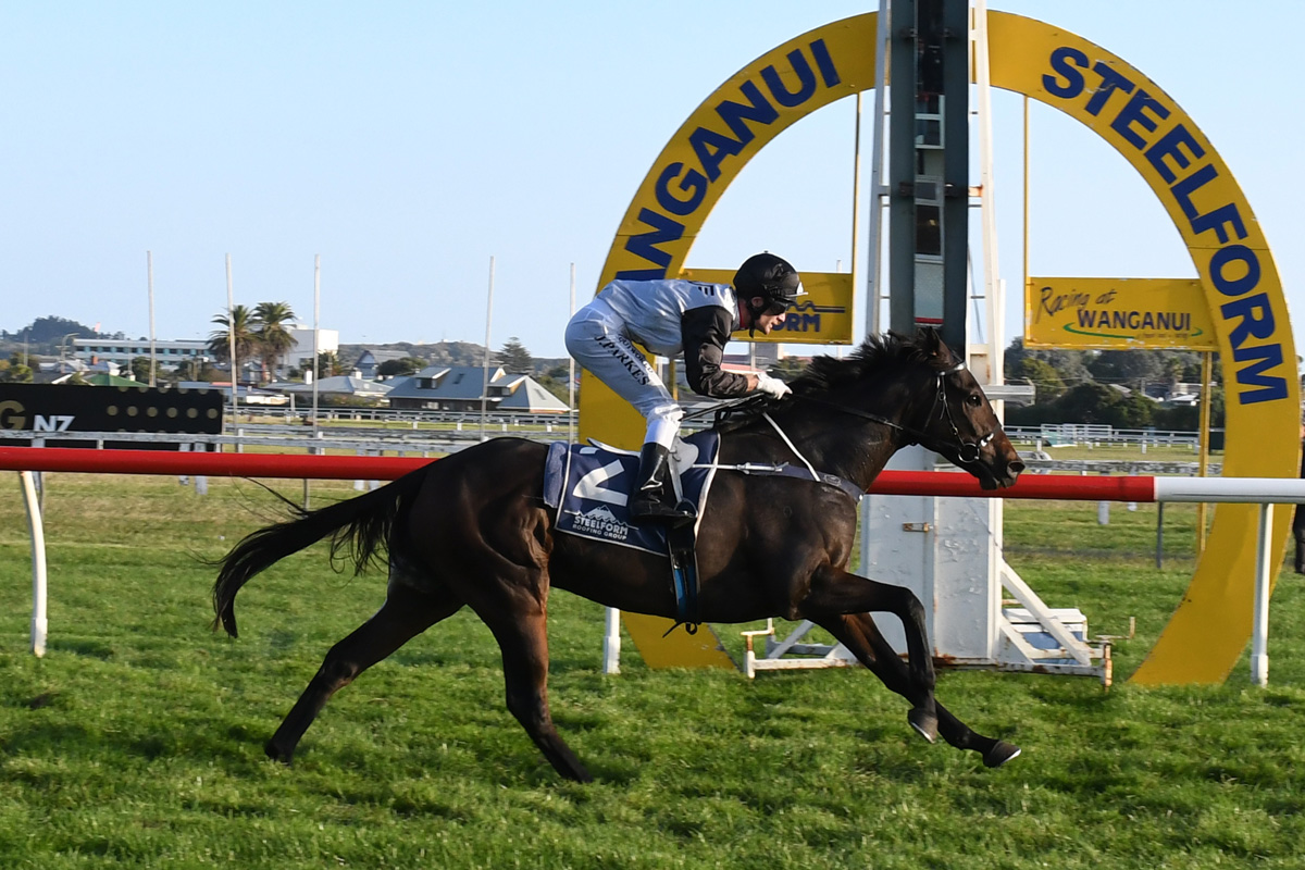 Hastings Trackwork - Hawkes Bay Racing Club