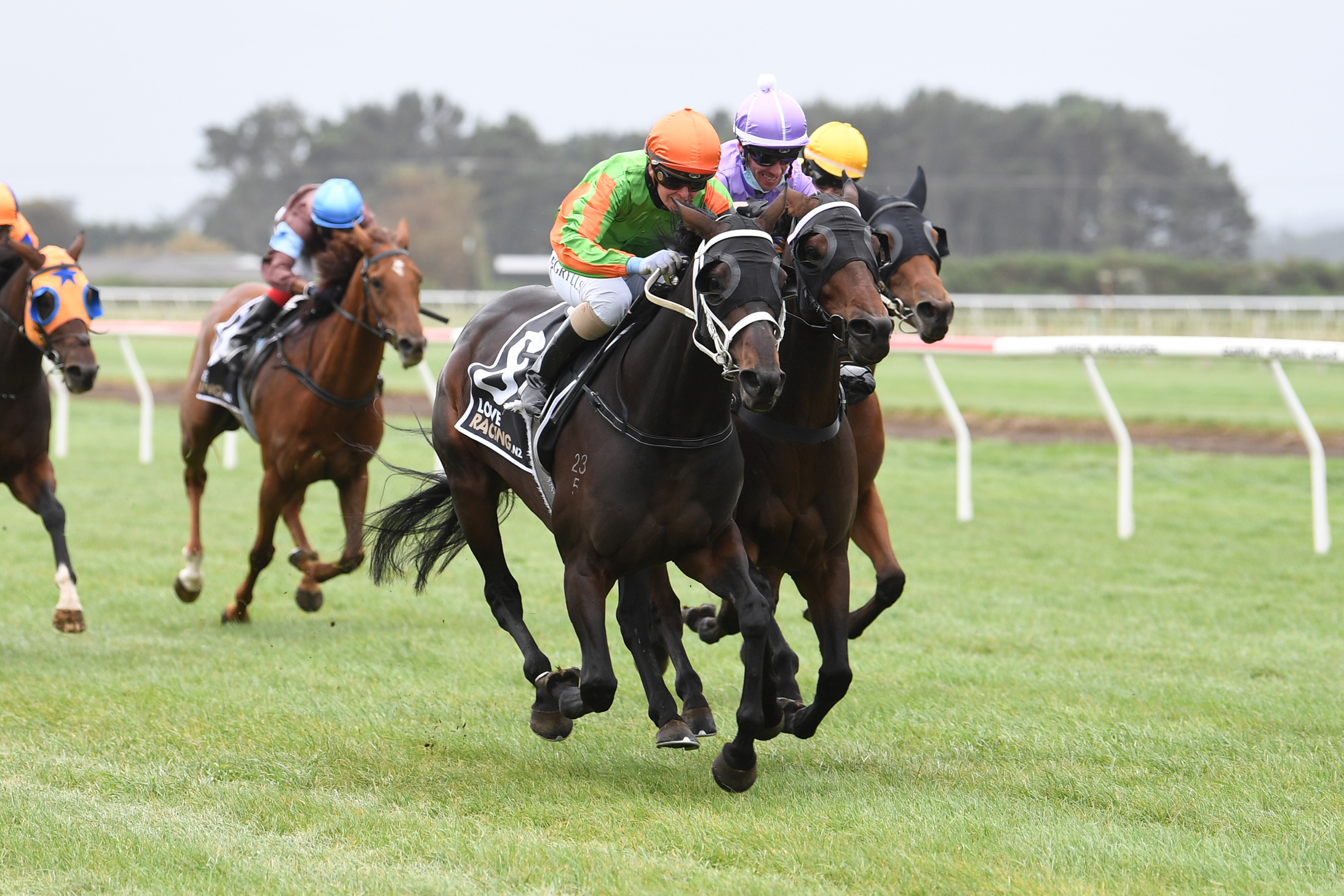Hawkes Bay Racing Column - April 2 - Hawkes Bay Racing Club