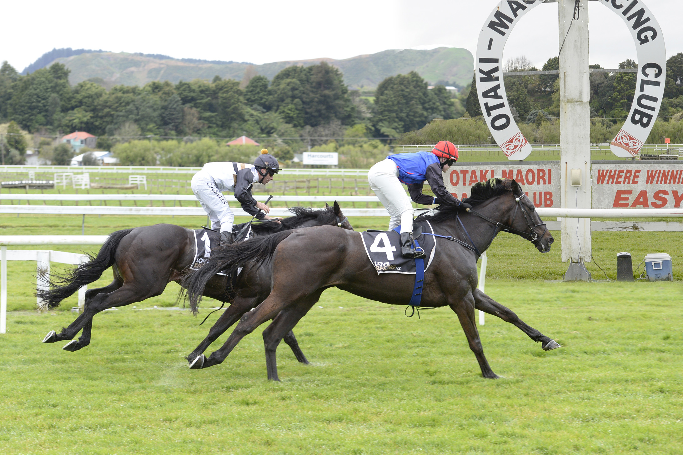 Hawkes Bay Racing Column - October 8 - Hawkes Bay Racing Club