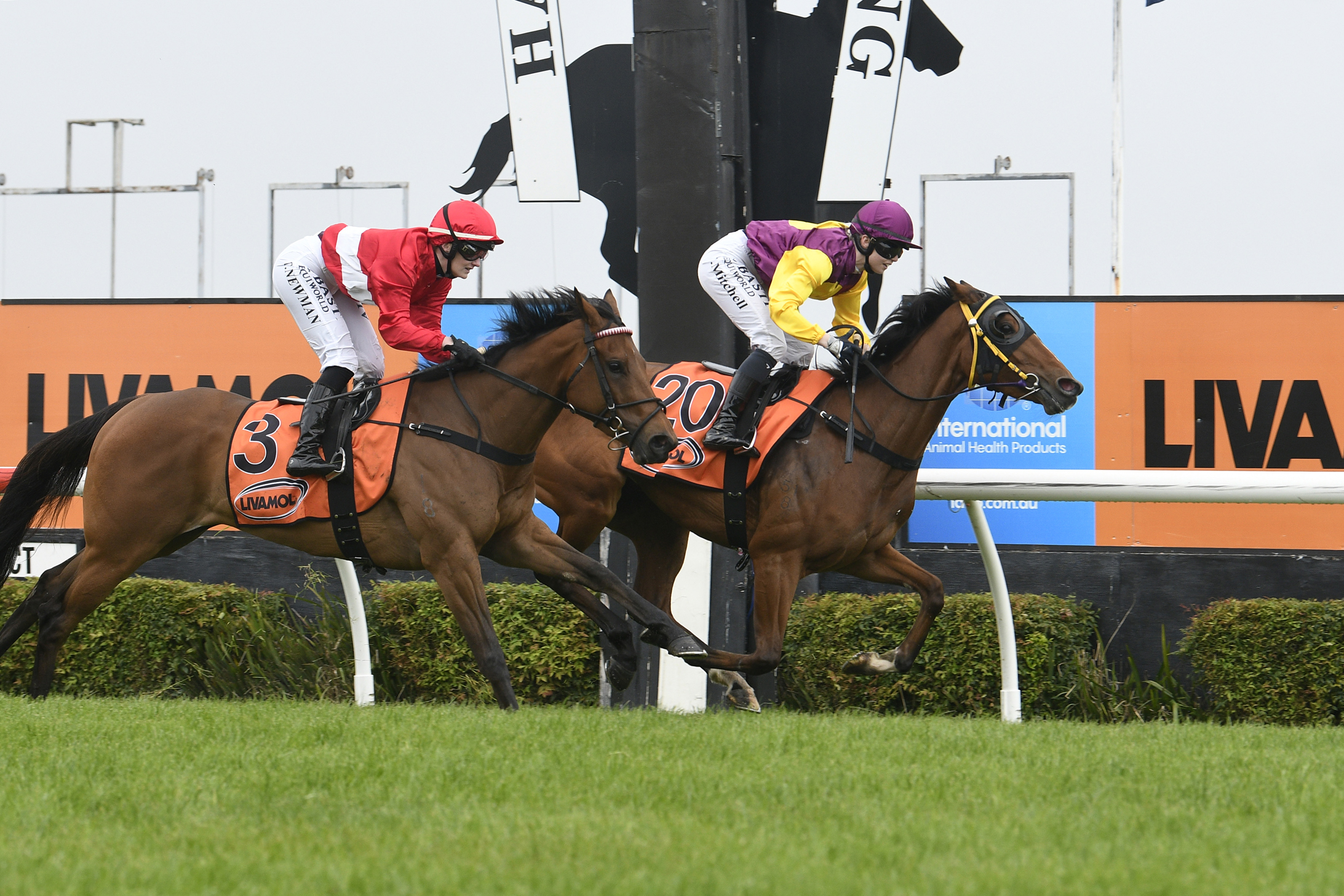 Hawkes Bay Racing Column - October 22 - Hawkes Bay Racing Club