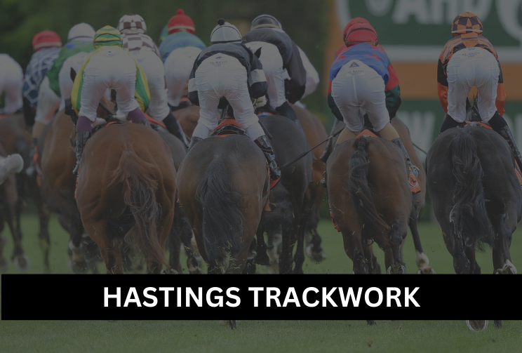 Hastings Trackwork April 4 - Hawkes Bay Racing Club